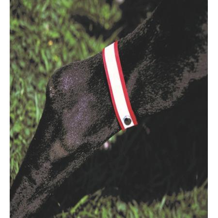 REFLECTIVE ANKLETS